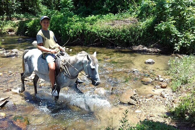 Private Tour Biausevu Waterfall and Fijian Village Experience - FAQ