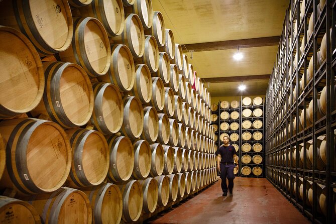 Private tour Bilbao to La Rioja A day of Winery Tours and Tasting - Introduction