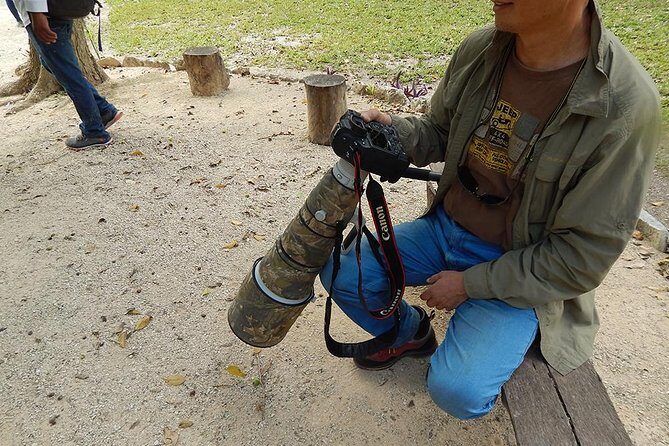 Private Tour: Birdwatching from Cancun - What to Expect: An Authentic Birdwatching Adventure