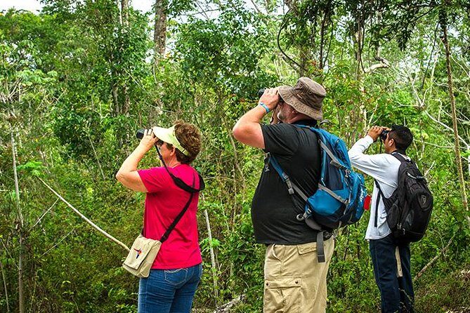Private Tour: Birdwatching from Cancun - Price and Value: Is It Worth It?
