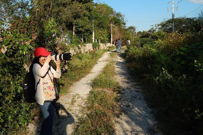 Private Tour: Birdwatching from Cancun - The Experience in Action: Real Traveler Insights