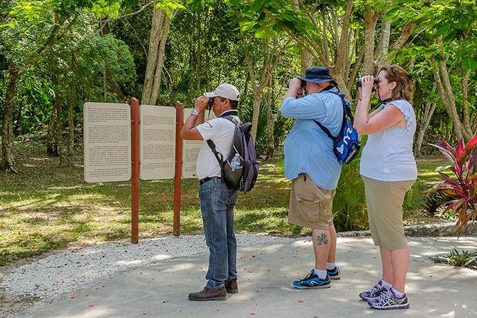 Private Tour: Birdwatching Playa del Carmen - Key Points