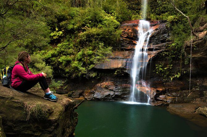 Private Tour Blue Mountains Day Adventure Wildlife + River Cruise - Key Points