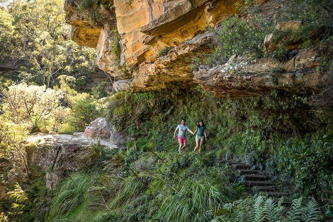 Private Tour: Blue Mountains Hiking & Nature - The Sum Up: Who Should Consider This Tour?