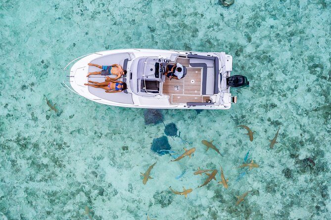 Private Tour: Bora Bora Lagoon Eco Snorkel Cruise - 3hrs or 6hrs - A Deep Dive into the Bora Bora Lagoon Eco Snorkel Cruise