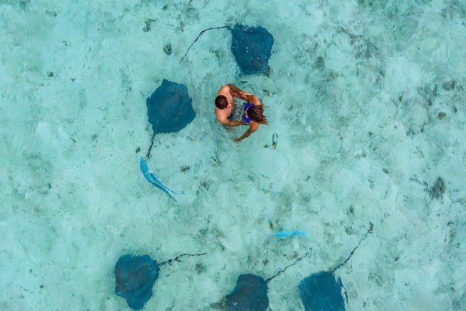 Private Tour: Bora Bora Lagoon Eco Snorkel Cruise - 3hrs or 6hrs - Final Thoughts