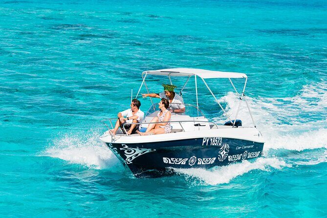 Private Tour: Bora Bora Whale Watching & Swimming Experience - What You Can Expect from This Tour