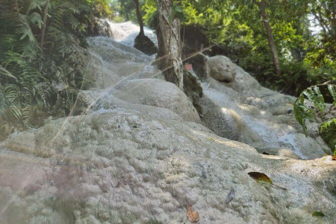 Private Tour: Bua Thong Sticky Waterfalls Tour - The Value of the Tour