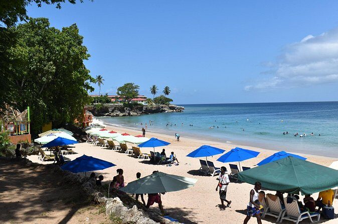 Private Tour Buccoo Reef and Nylon Pool - Final Thoughts