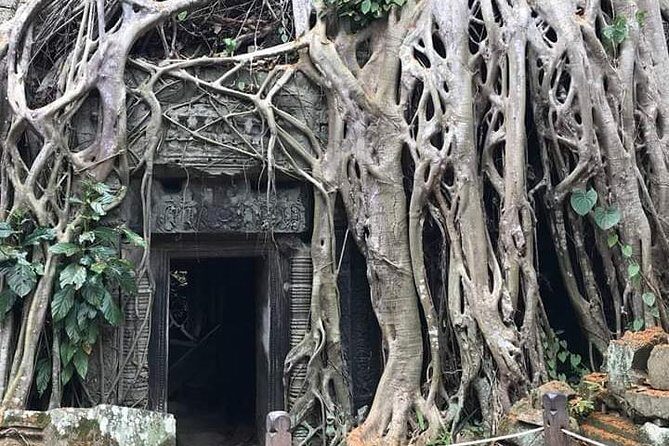 Private Tour By Car ( Angkor Wat Complex + Sunrise ) - Key Points