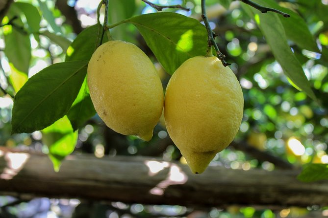 Private Tour by Car From Sorrento to the Amalfi Coast - Reviews and Feedback