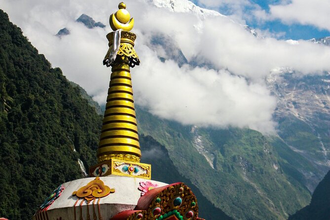 Private Tour by Car in Tokyo - Pricing and Value