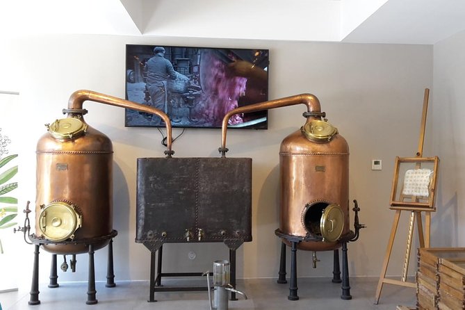 Private tour by private car: Grasse, Cannes, Antibes - Who Will Love This Tour?