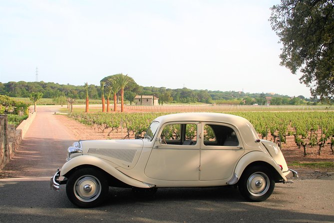 Private tour by private car: Grasse, Cannes, Antibes - The Sum Up: A Worthwhile and Stylish Introduction