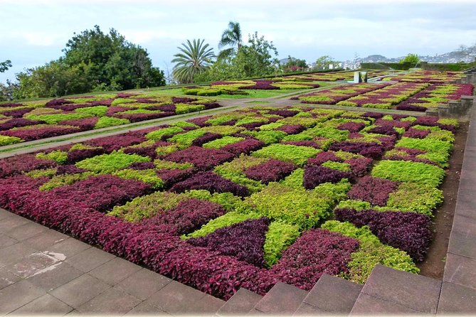 Private Tour Cable Car Toboggan Tropical Garden and Skywalk - Addressing Concerns and Feedback