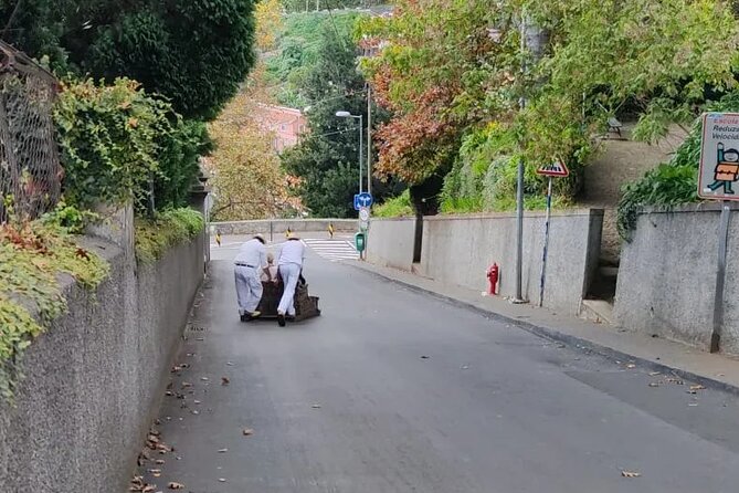 Private Tour Cable Car Toboggan Tropical Garden and Skywalk - The Thrilling Toboggan Ride