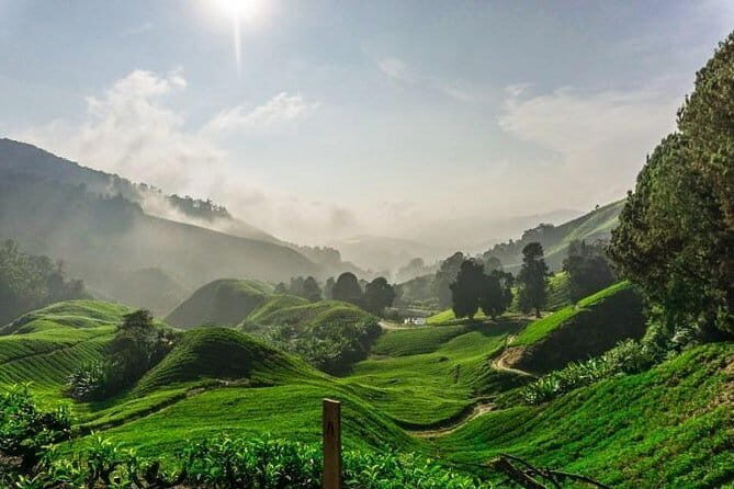 Private Tour : Cameron Highland Day Trip from Kuala Lumpur - Introduction