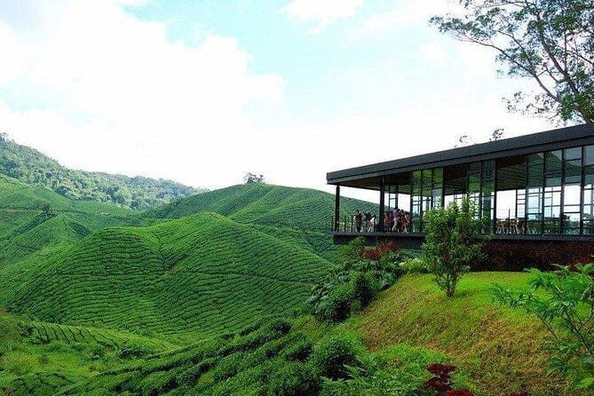 Private Tour : Cameron Highland Day Trip from Kuala Lumpur - Exploring the Cameron Highlands: An In-Depth Review