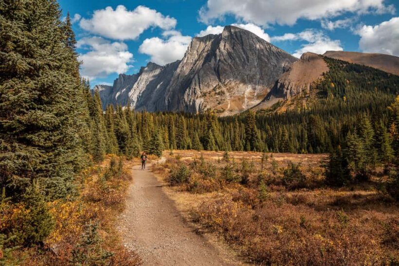Private Tour: Canmore 2-Hour Guided Nature Walk - Private Tour: Canmore 2-Hour Guided Nature Walk