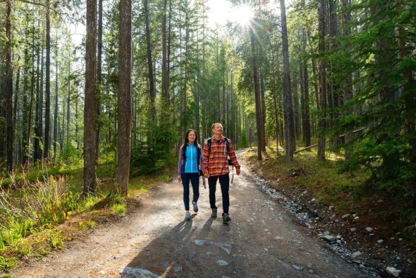 Private Tour: Canmore 2-Hour Guided Nature Walk - The Itinerary and Experience
