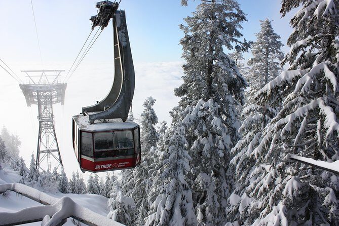 Private Tour: Capilano Suspension Bridge and Grouse Mountain - A Full Breakdown of the Vancouver Private Tour