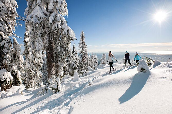 Private Tour: Capilano Suspension Bridge and Grouse Mountain - Final Thoughts
