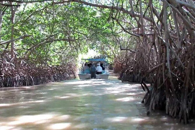 Private Tour: Celestun Biosphere Reserve by Yucatan Concierge - What Makes This Tour Stand Out?