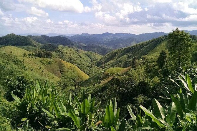 Private Tour: Chiang Rai Golden Triangle Day Trip from Chiang Mai - Who Should Consider This Tour?