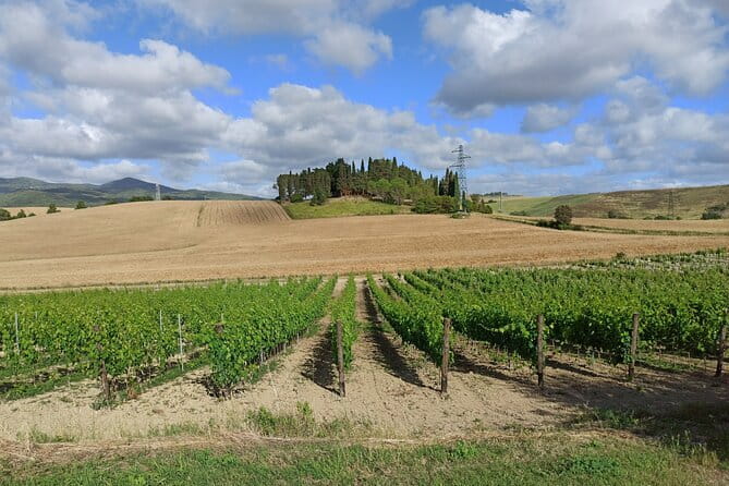 PRIVATE TOUR: Chianti Afternoon tour with visit to 2 wine farms - Practical Details and What to Expect