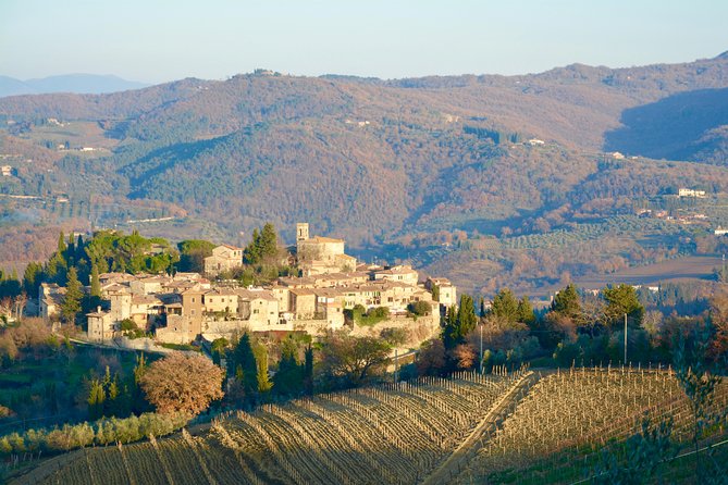 Private Tour: Chianti Region Tour by Minivan - About Your Stay
