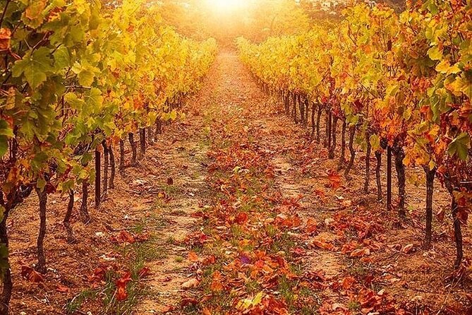 Private Tour: Chianti Winery, Montefioralle, and Greve in Chianti - Exploring Greve in Chianti