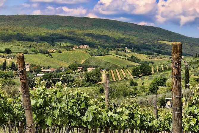 Private Tour: Chianti Winery, Montefioralle, and Greve in Chianti - Additional Tasting Opportunities