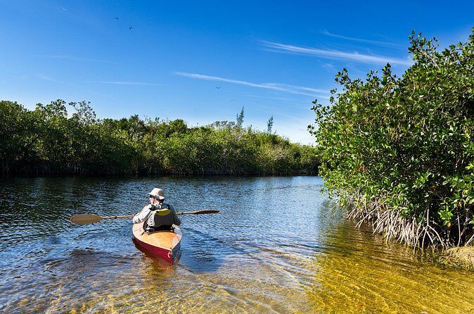 Private Tour Clear Bottom Kayak Mangrove - FAQs