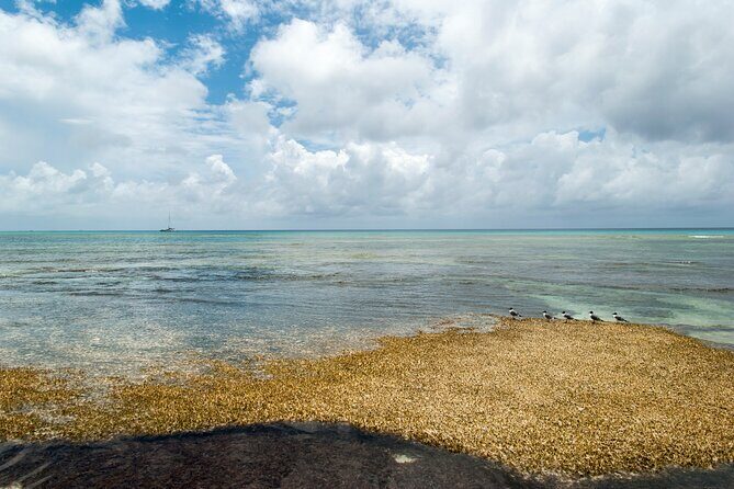 Private Tour Cockburn Town Cultural with Rum Cake - An In-Depth Look at the Experience