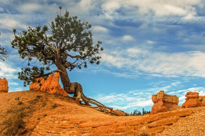 Private Tour Colorado Plateau from Sedona - Why This Tour Offers Good Value