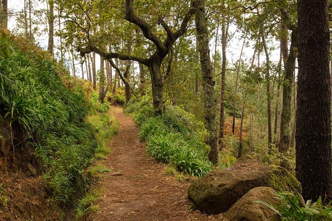 Private Tour: Combo Expedition (Jeep Tour & Levada Walk) - The Sum Up: Is It Worth It?