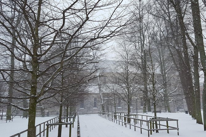 Private Tour Copenhagen to Lund & Malmö City Daytrip - Guide and Expertise