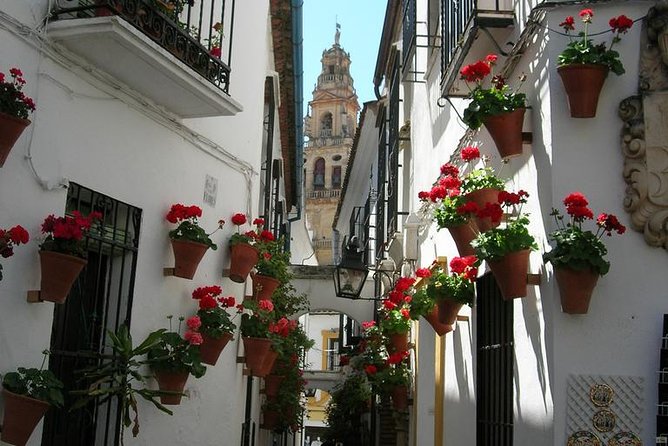 Private Tour: Cordoba Walking Tour with Skip-the-line Tickets - Who Should Consider This Tour?