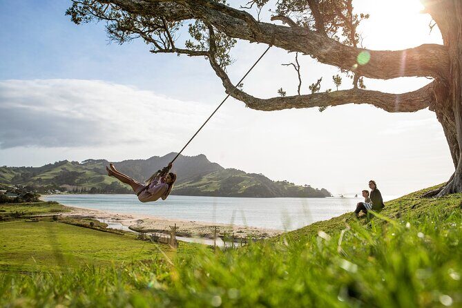 Private Tour - Coromandel Beach, Caves & Forest - An In-Depth Look at the Coromandel Coast Private Tour