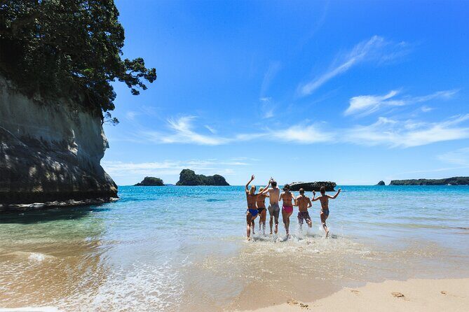 Private Tour - Coromandel Beach, Caves & Forest - Frequently Asked Questions