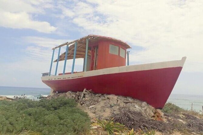 Private Tour Cozumel Buggy your way up to 4 People - The Experience in Detail