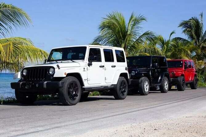 Private Tour Cozumel your way Jeep 4x4 up to 4 People - Exploring the Private Jeep 4x4 Tour in Cozumel: A Personalized Adventure