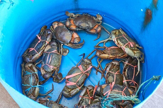 Private Tour: Crab Island Sightseeing Boat Ride and Seafood Lunch - FAQs