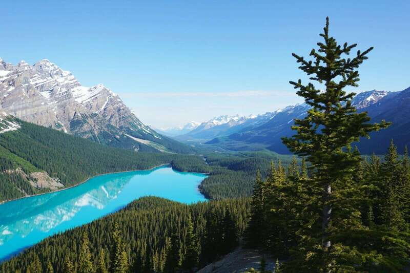 Private Tour: Customize Your Adventure in Banff Park - Why This Tour Offers Great Value