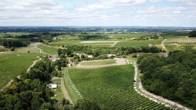 Private tour Day in the heart of the Cognac vineyards - Final Thoughts
