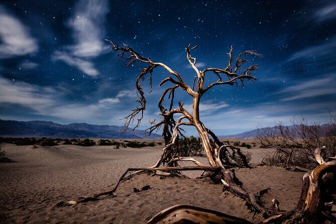 Private Tour Death Valley National Park from Las Vegas - Authenticity and Experience