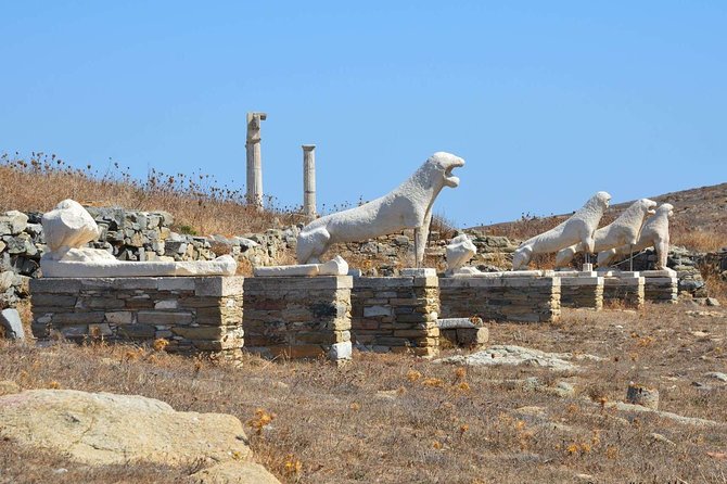 Private Tour: Delos Day Trip from Mykonos - FAQ