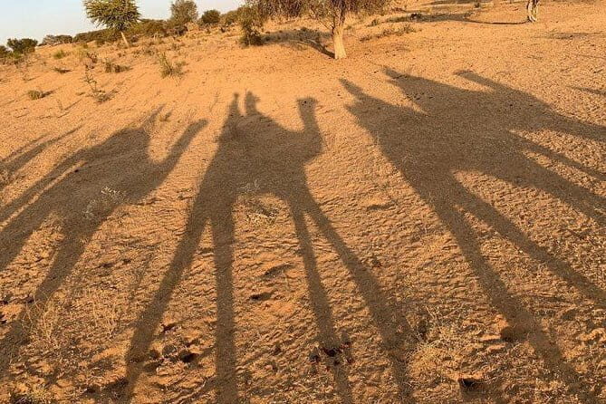 Private Tour :Desert Safari & Bishnoi Village SafarI - Starting Point: Seamless Pickup & Early Morning Start