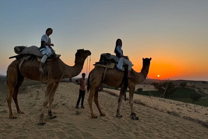 Private Tour :Desert Safari & Bishnoi Village SafarI - Camel Safari: The Heart of Rajasthan