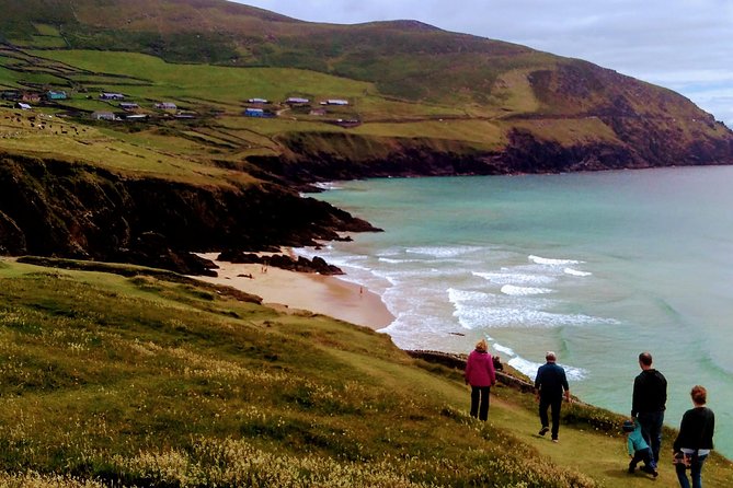 Private Tour: Dingle Peninsula from Dingle - What the Experience Means for You